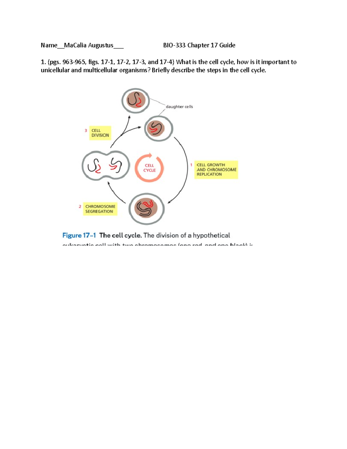 BIO-333 CH17 Guide - Name__MaCalia Augustus___ BIO-333 Chapter 17 Guide ...