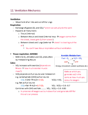 MOD 6 - anatomy module 6 notes - 1H06 - Studocu