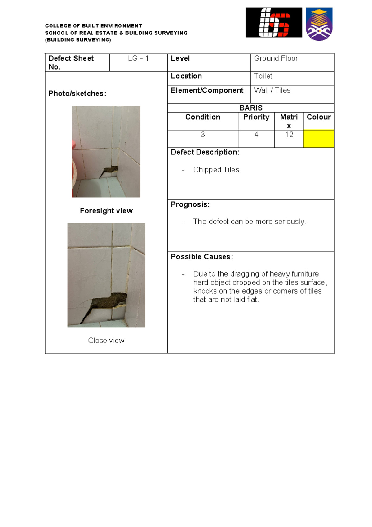 Defect Sheet latest - SCHOOL OF REAL ESTATE & BUILDING SURVEYING ...
