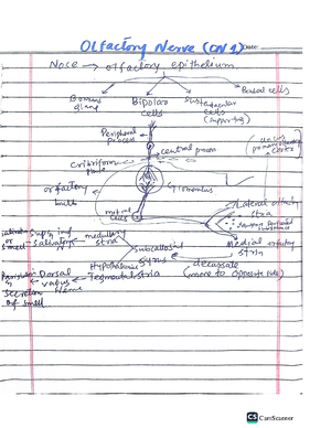 Mbbs Anatomy Reproductive System - General Anatomy - Studocu