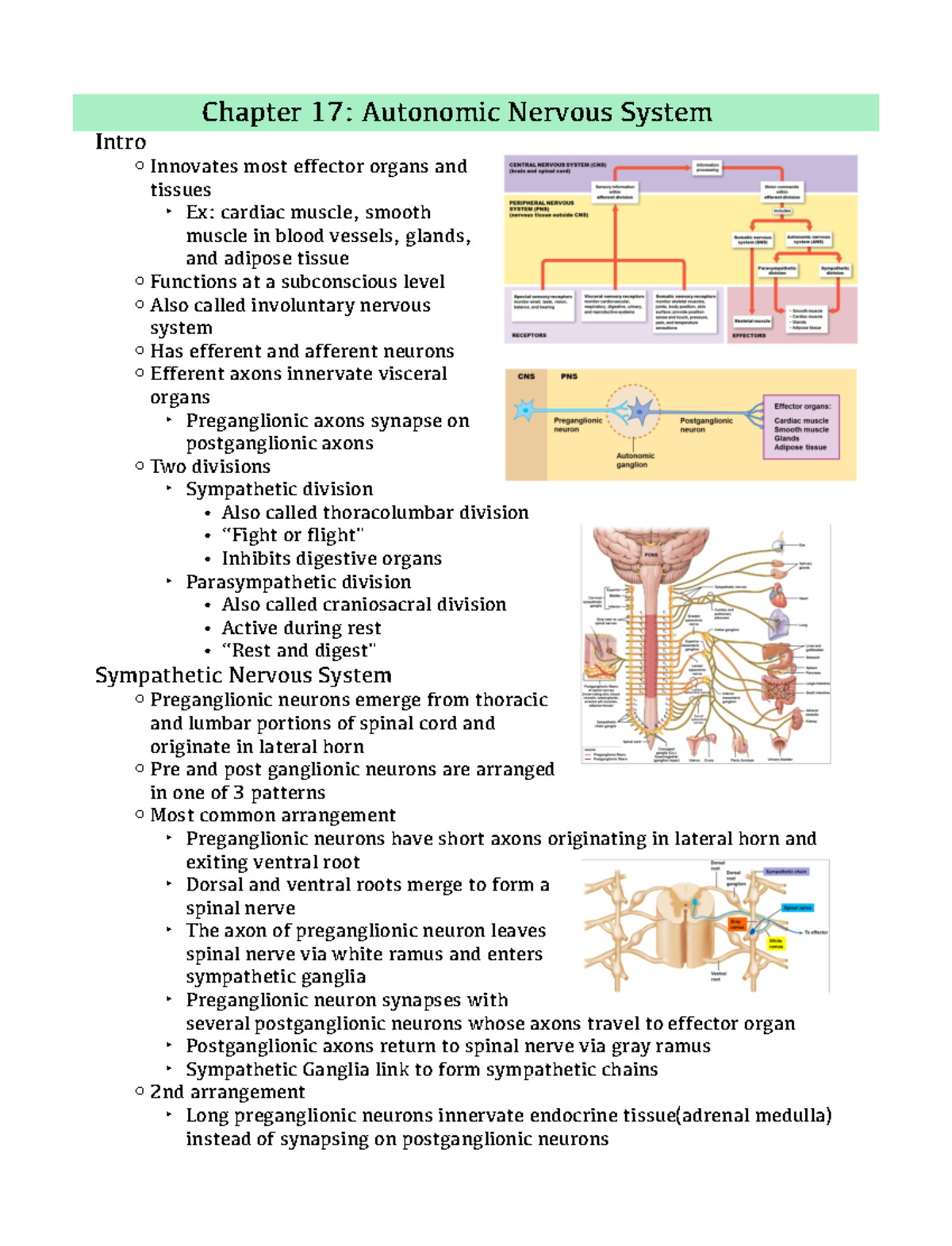 Chapter 17 Notes - Chapter 17: Autonomic Nervous System Intro Innovates ...