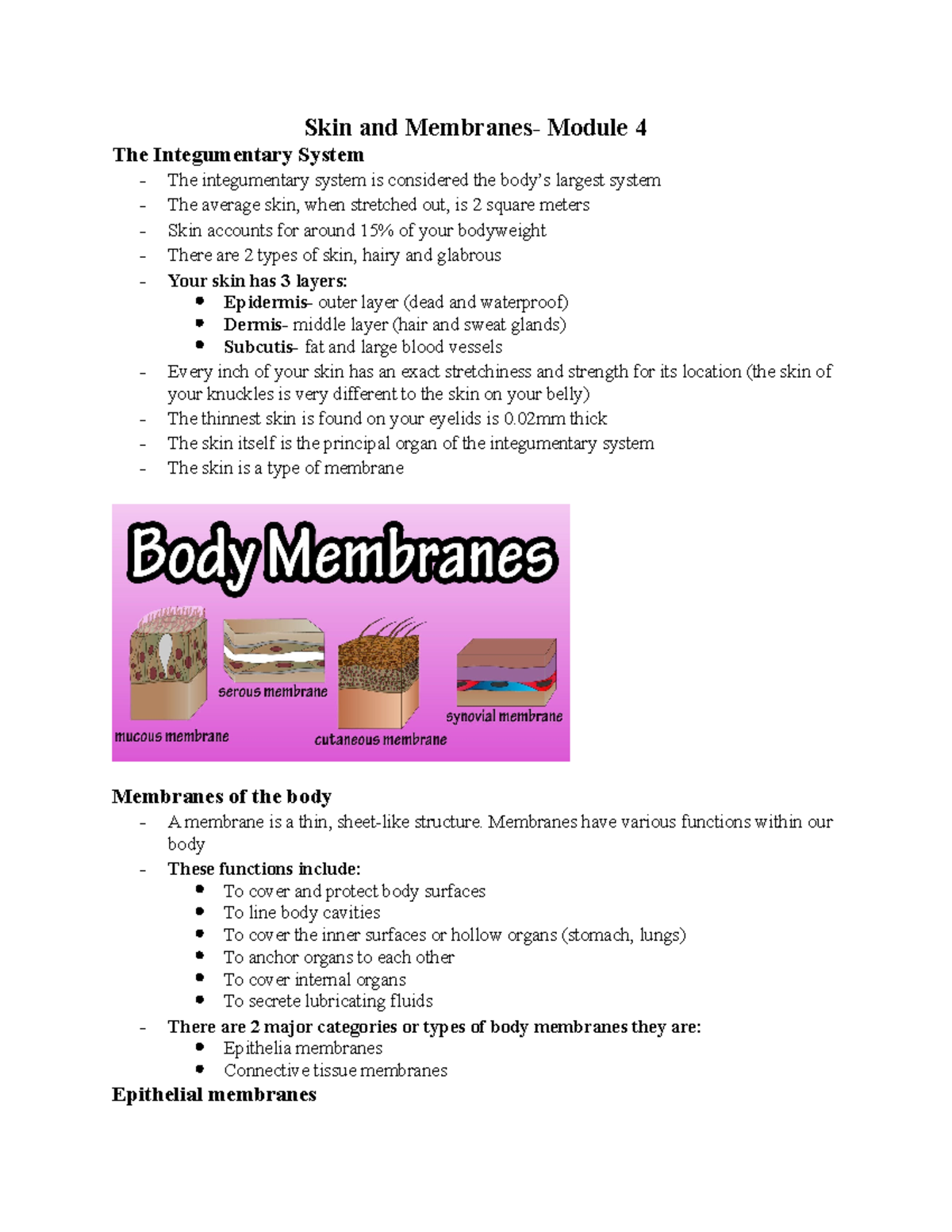 Skin and Membranes- Module 4 - Membranes have various functions within ...