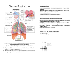 Generalidades de la Anatomía - Warning: TT: undefined function: 32 Warning: TT: undefined ...
