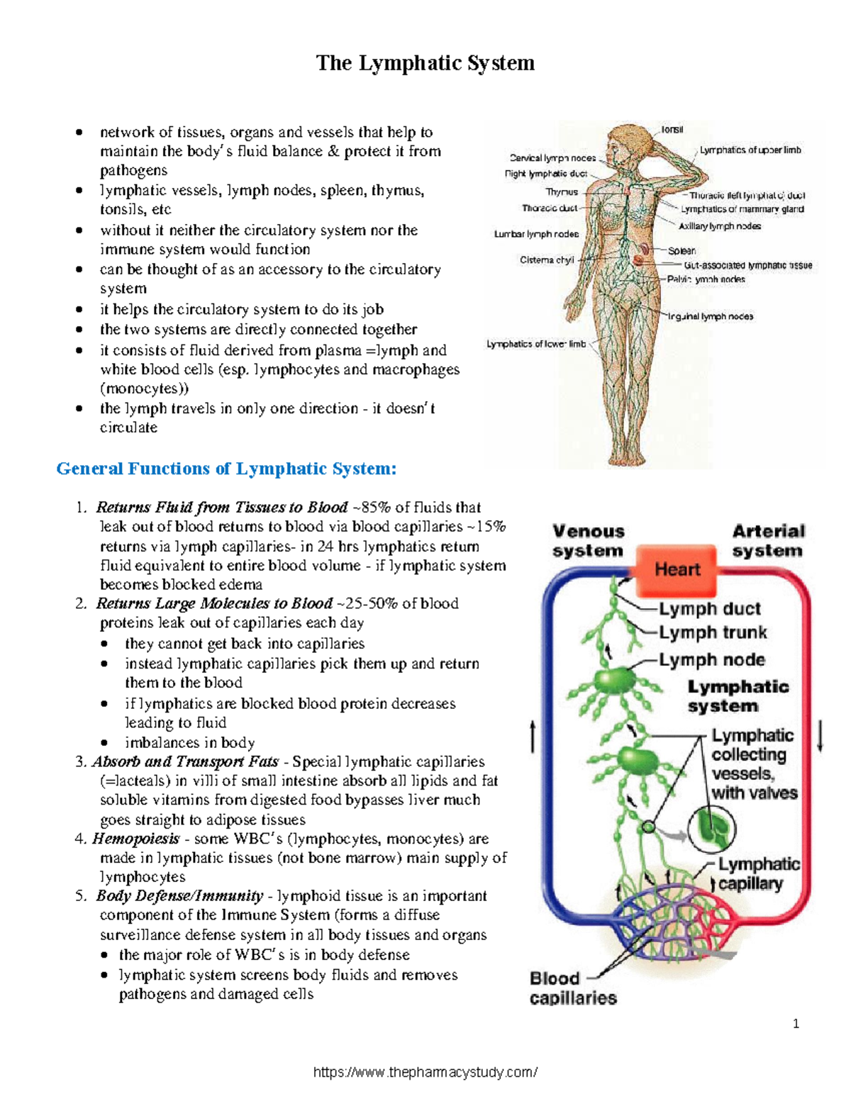 Human Physiology. Lymphatic system. Notes. Pdf - Human anatomy and ...