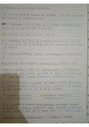 Desarrollo 4 - Embriologia - Linea primitiva No do pulmitive Epiblasto ...