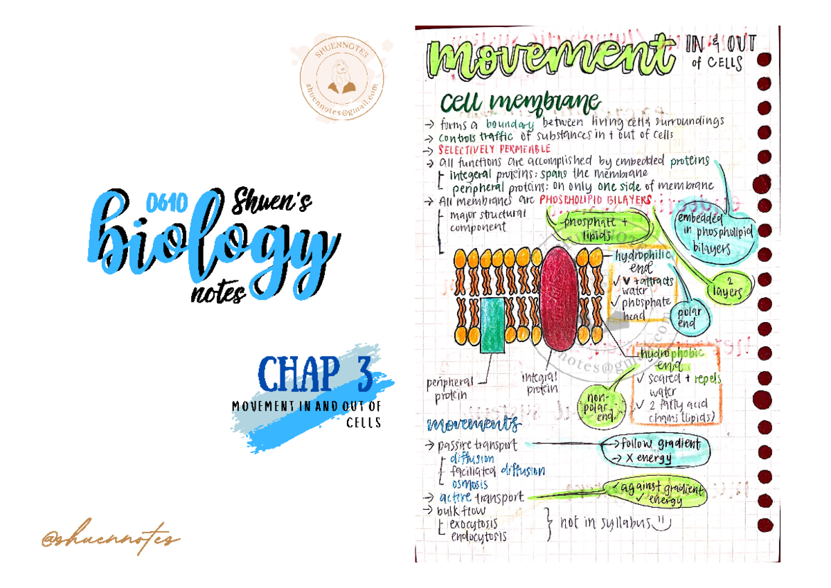 Bio%20chap3%20@shuennotes - Biology - movement in and out of cells ...