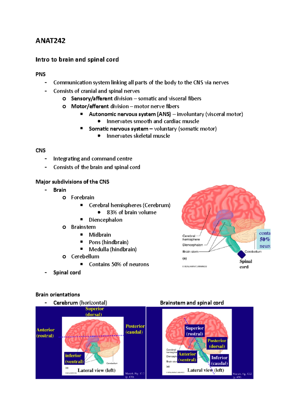 ANAT242 - Lecture notes 1-30 - ANAT Intro to brain and spinal cord PNS ...