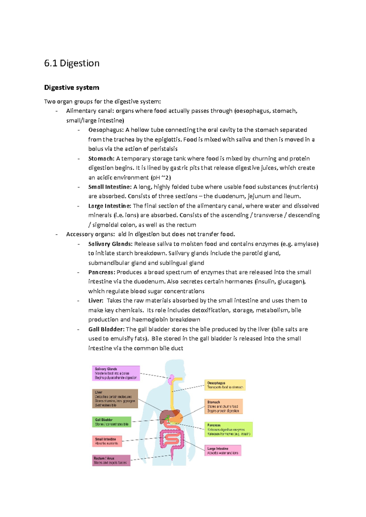 Topic 6 Human Physiology - 6 Digestion Digestive system Two organ ...