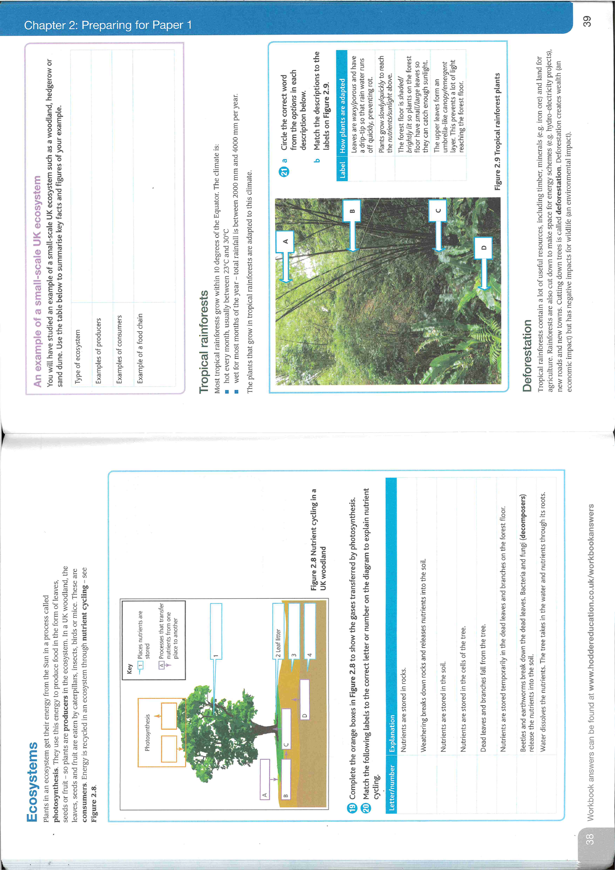 05 - Physical - Living World - Ecosystems An example of a UK ecosystem ...