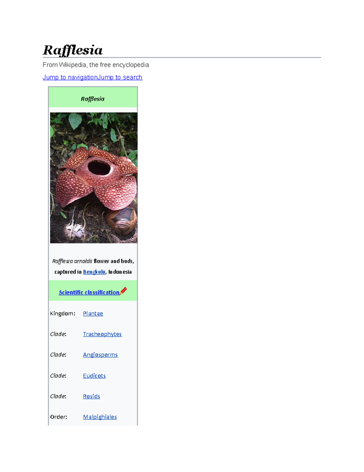 Z Rafflesia - You can use this as reference. - Rafflesia From Wikipedia ...