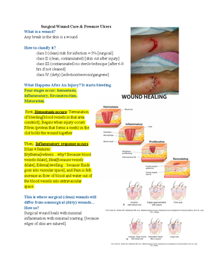 Wound Measurement Handout - Wound Measurement & Documentation Guide ...