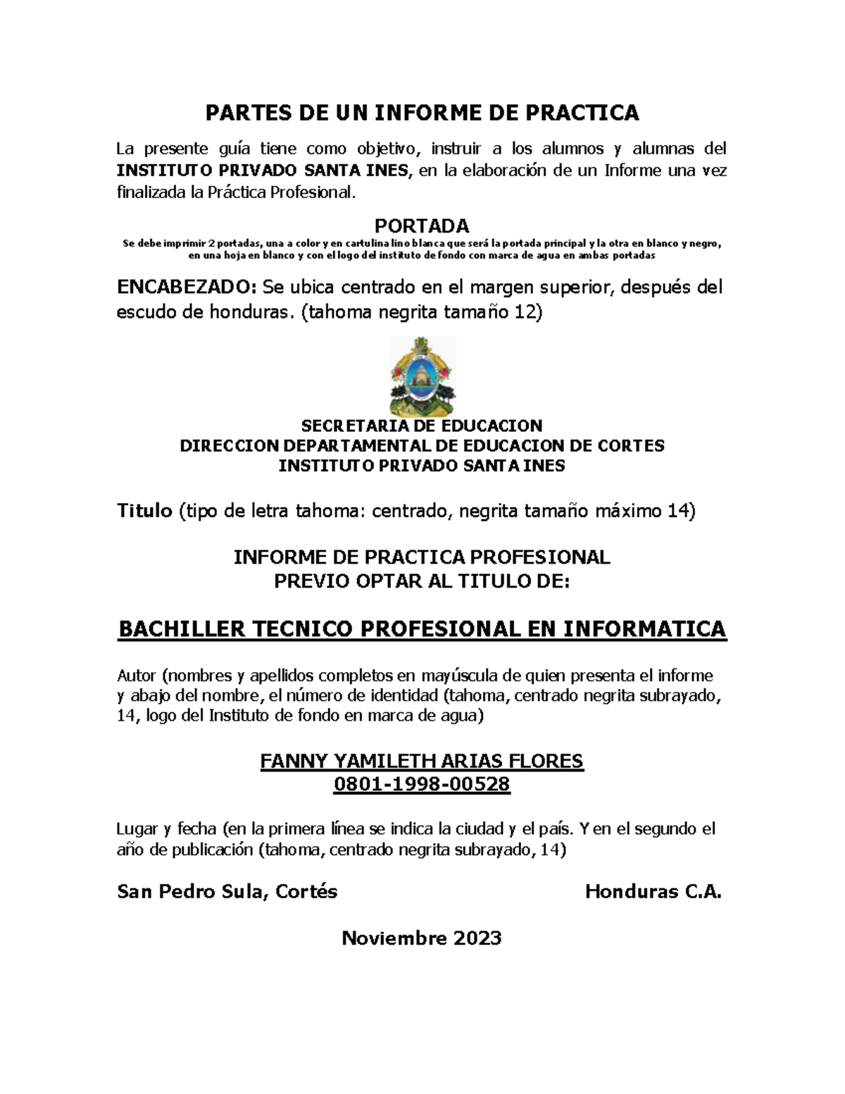 Partes DE UN Informe DE Practica Profesional - PARTES DE UN INFORME DE ...