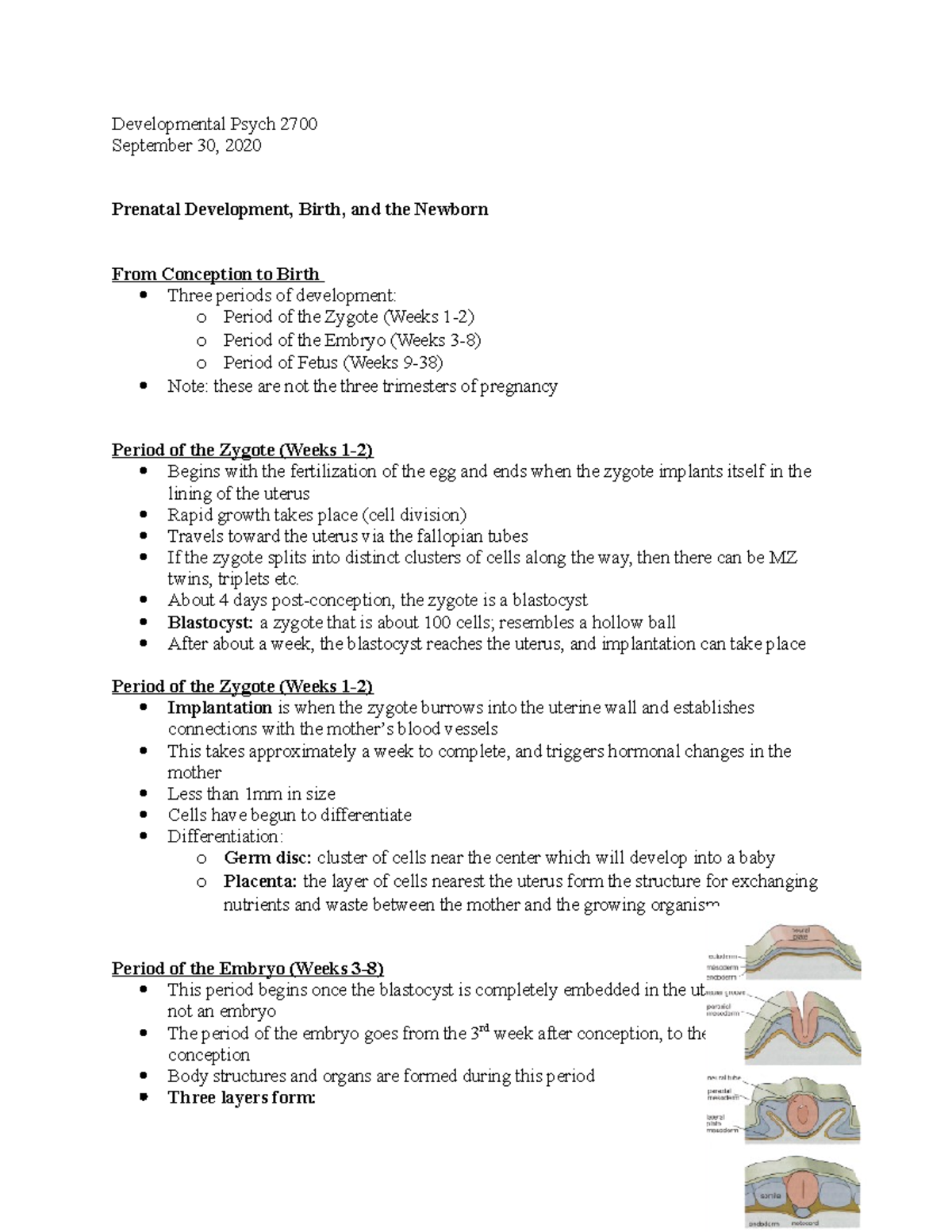 Chapter 3 - Prenatal Development, Birth, and the Newborn ...