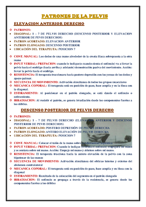 Terminología anatómica - Terminología anatómica Autor: Alfredo Torres ...