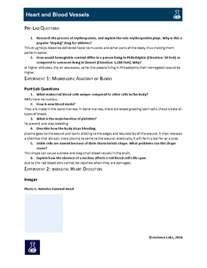 AP 5045 Pre Lab Questions and Experiments L02 Cells - PRE-LAB QUESTIONS ...