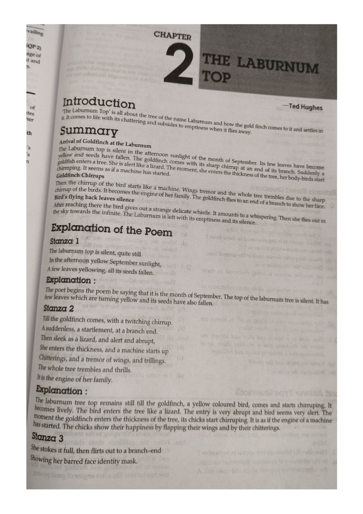 Laburnum Top - Informative - vailing CHAPTER QP 2 THE LABURNUM TOP ...