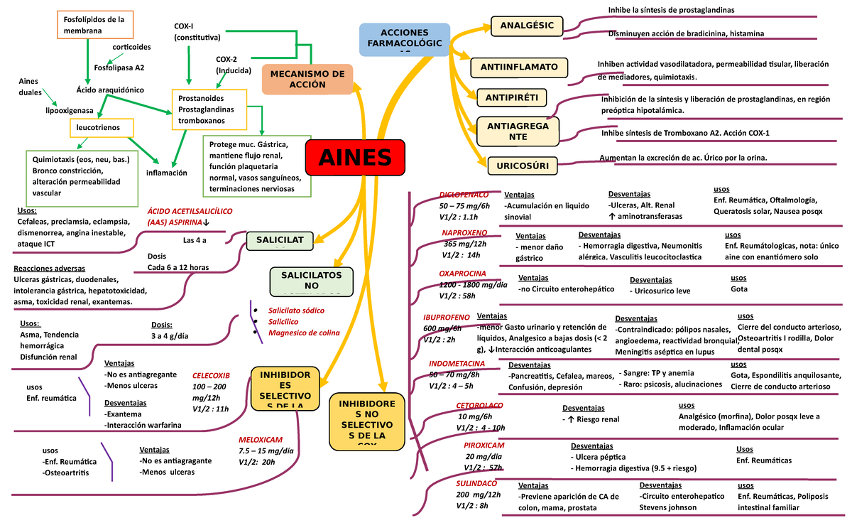Aines - mapas conceptuales - Fosfolípidos de la membrana Prostanoides ...
