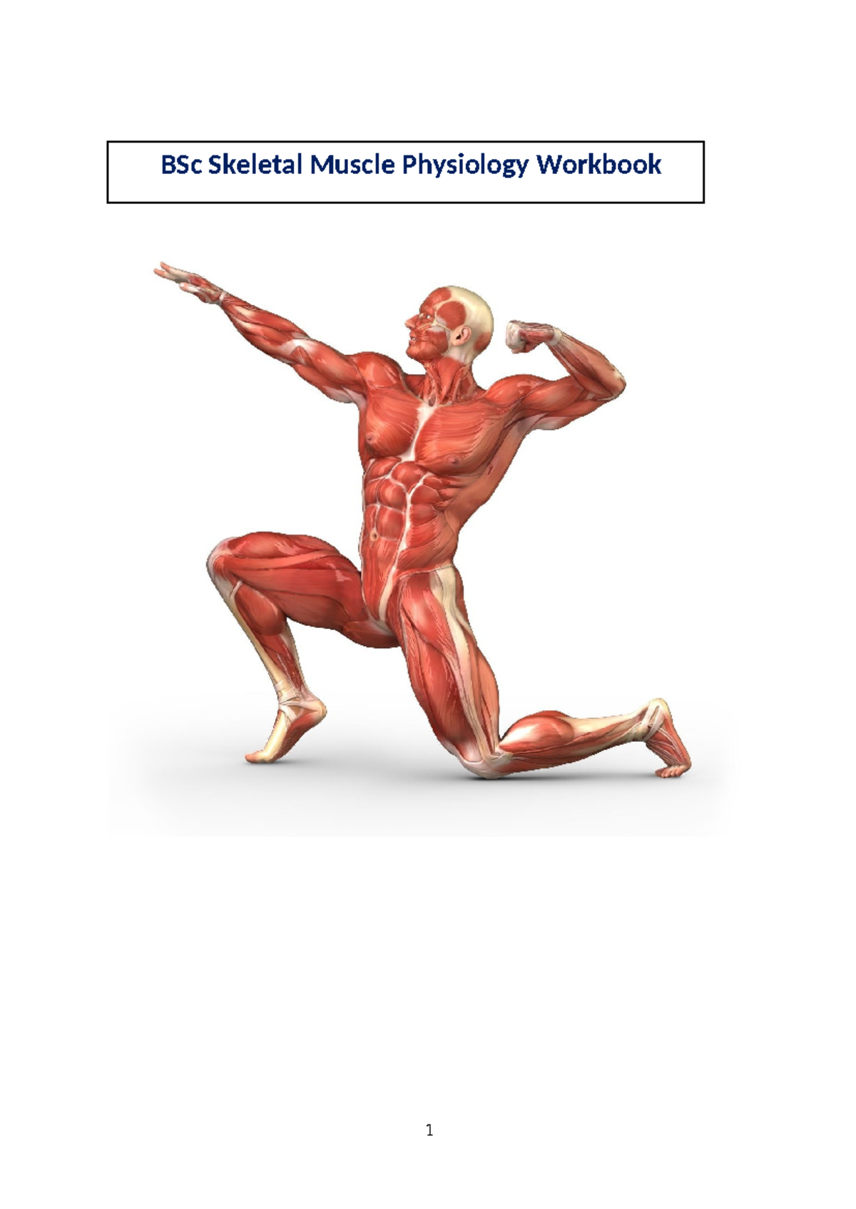 Muscle Physiology WB 1 - Workbook - BSc Skeletal Muscle Physiology ...