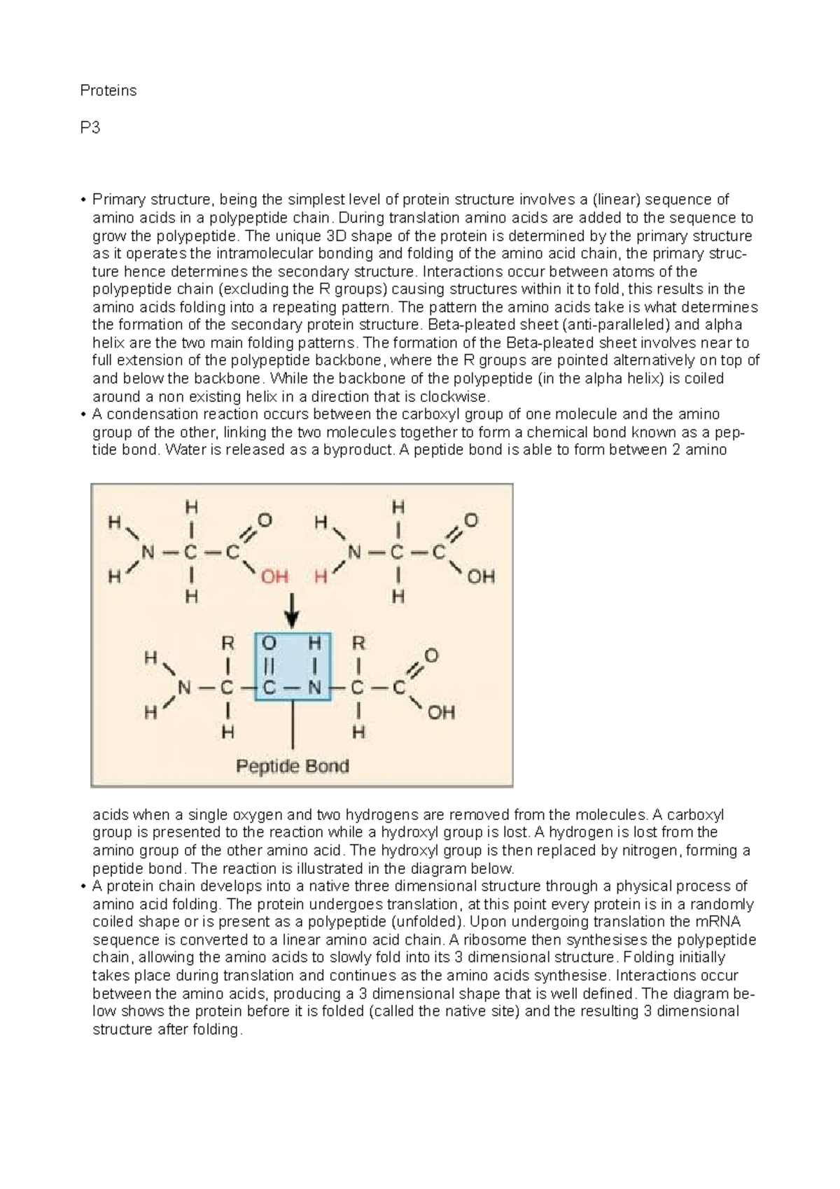 Proteins - Proteins P Primary structure, being the simplest level of ...