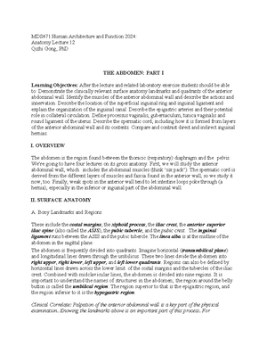 Anatomy l14 abdomen 3 gong notes - MDS471 Human Architecture and ...