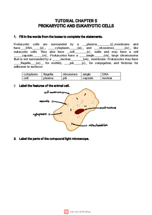 Chapter 7 Tutorial Week 12 ( Question) - Tutorial BIO Chapter 7: ANIMAL ...