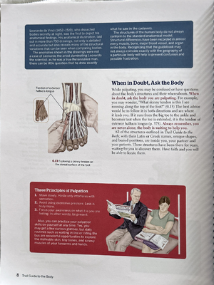 Navigating the body - Massage 101 - Studocu