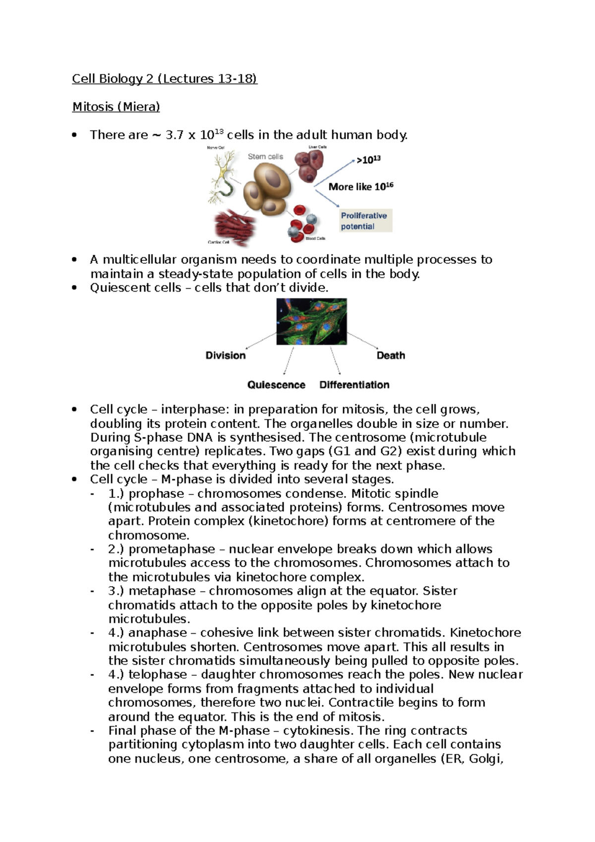 Cell Biology 2 (Lectures 13-18) - Cell Biology 2 (Lectures 13-18 ...