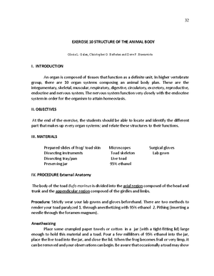 Module 10 - Digestive System - Module 10: THE DIGESTIVE SYSTEM The ...