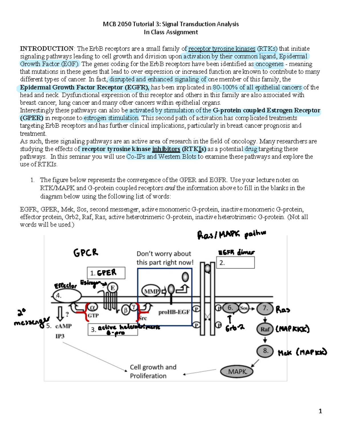 Signal transduction Seminar 3 - In Class Assignment INTRODUCTION: The ...