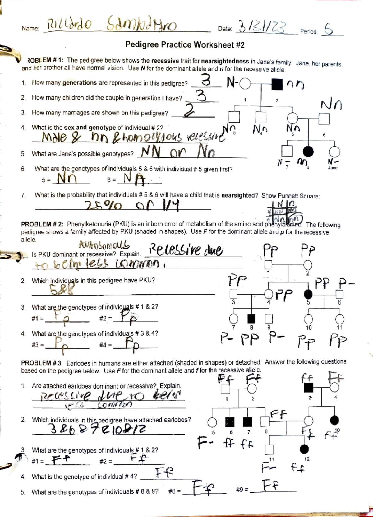 Pig Lag Assignment Lab - Name: 1. How many generations are represented ...