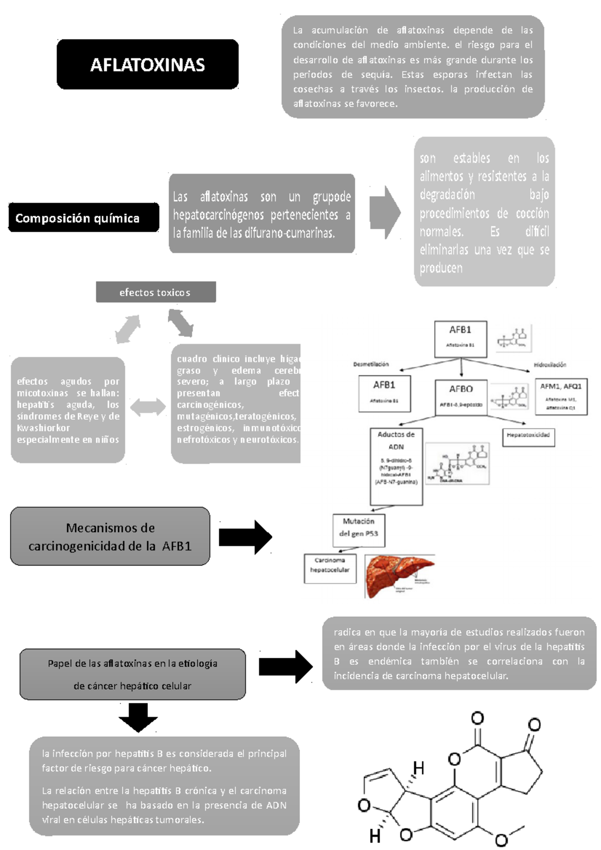 Aflatoxinas - toxicologia - AFLATOXINAS Las aflatoxinas son un grupode ...
