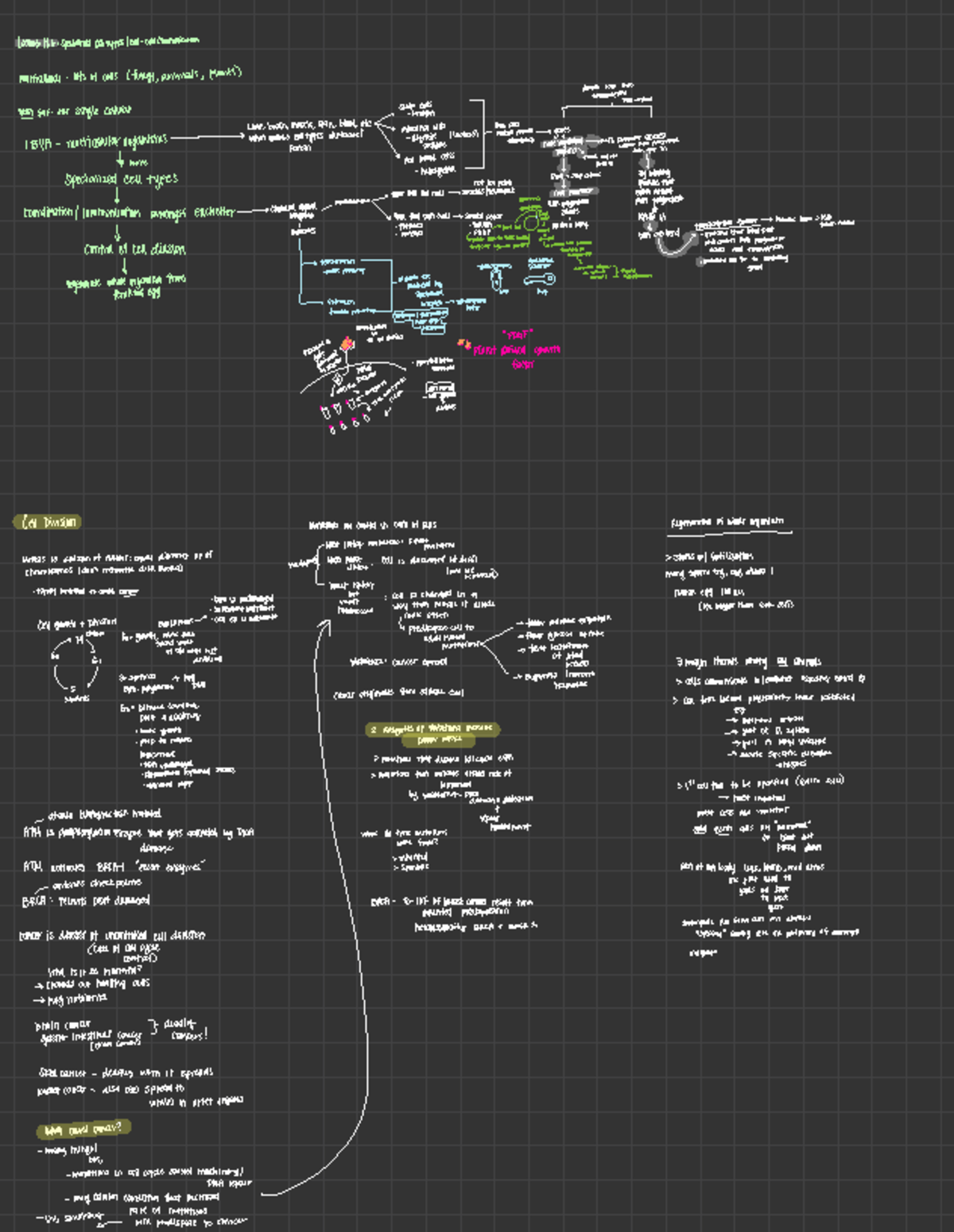 12A - 15A BIO LECT Notes - Lecture IIA: specialized all types/cell ...