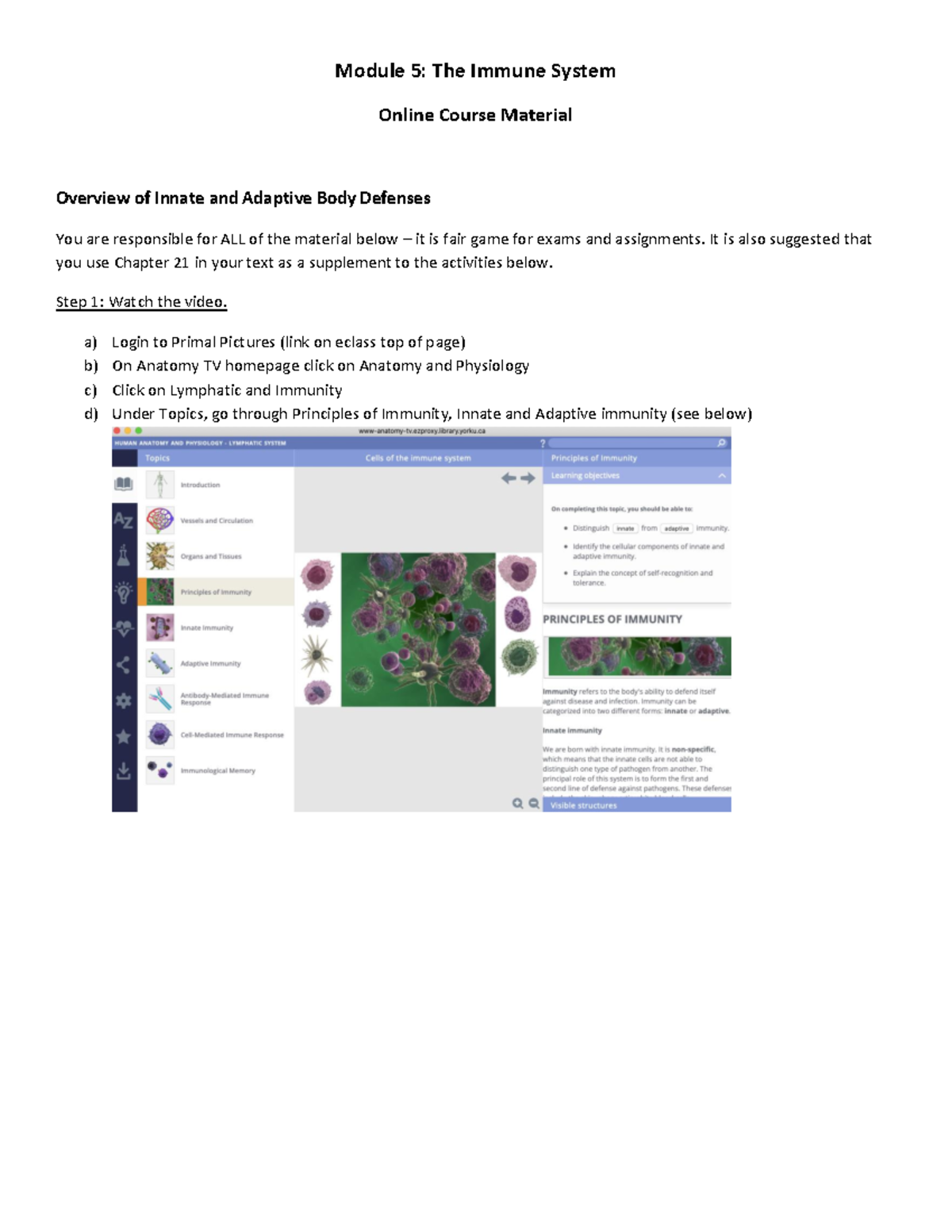 Immune System - Online Work - Module 5: The Immune System Online Course ...