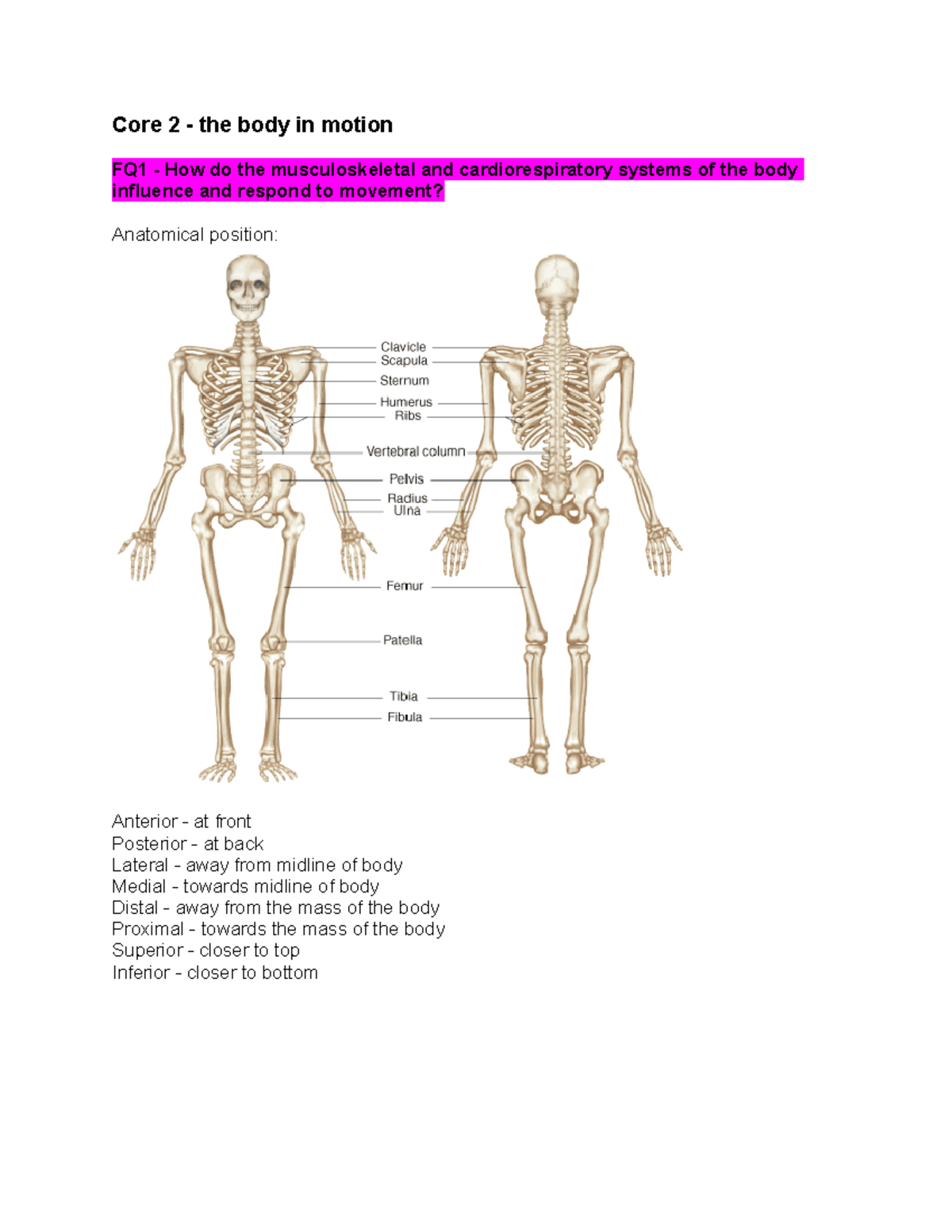 H.C. - Core 2 - The Body in Motion Student Notes - Core 2 - the body in ...