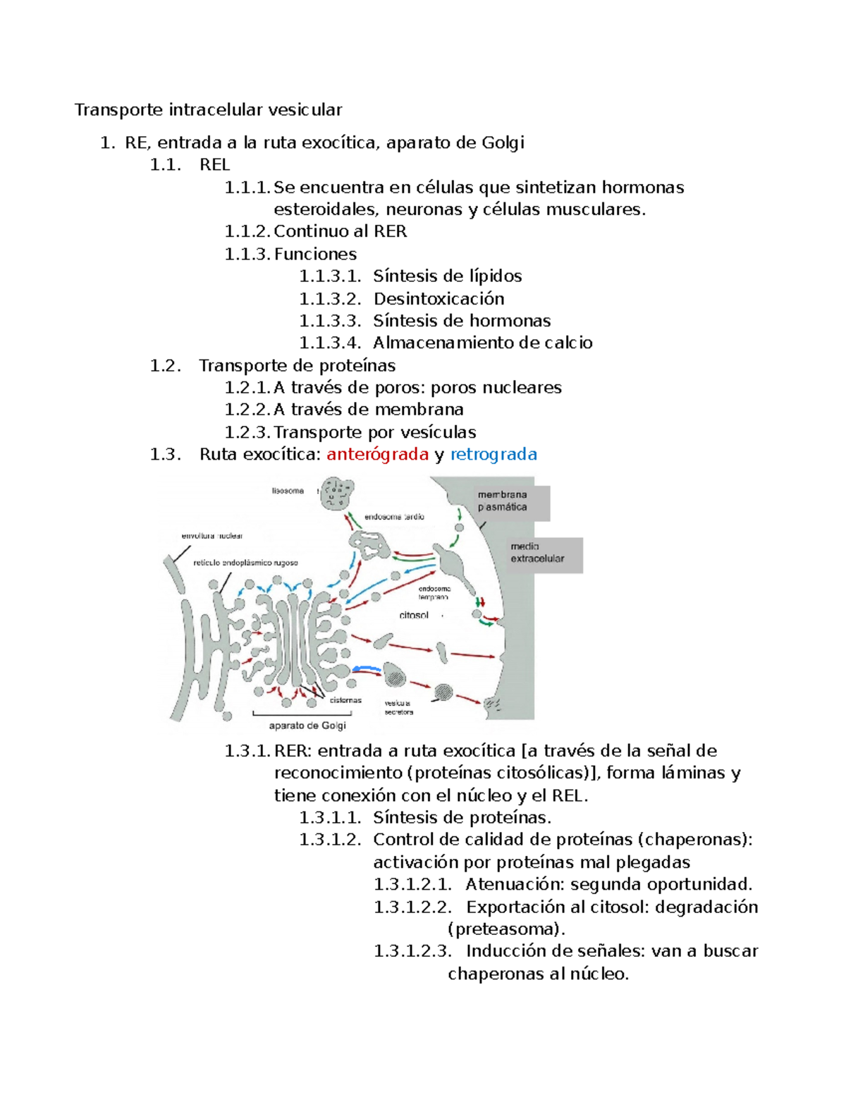 Resumen taller 6 - Transporte intracelular vesicular 1. RE, entrada a ...