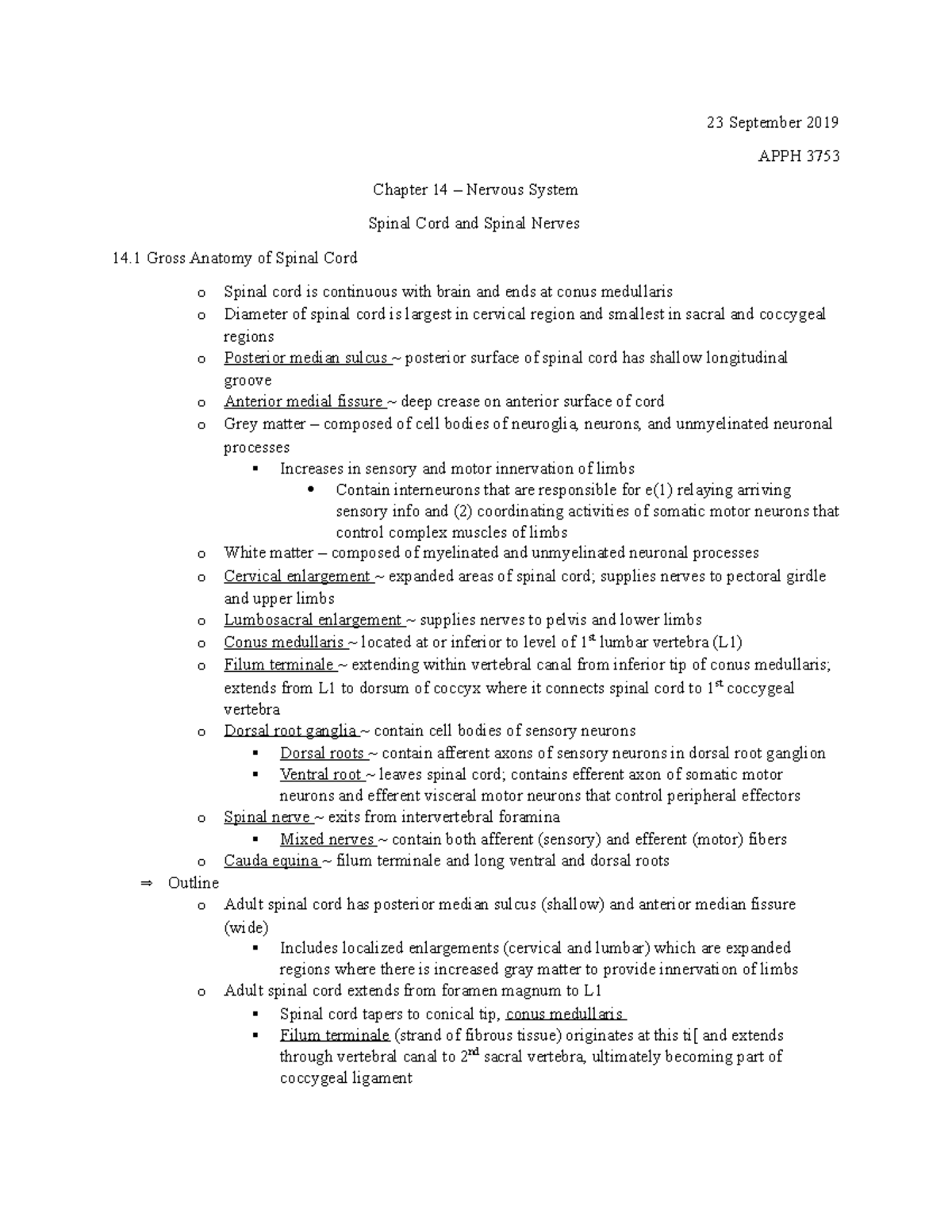 Chapter 14 – Nervous System - Spinal Cord and Spinal Nerves - Studocu