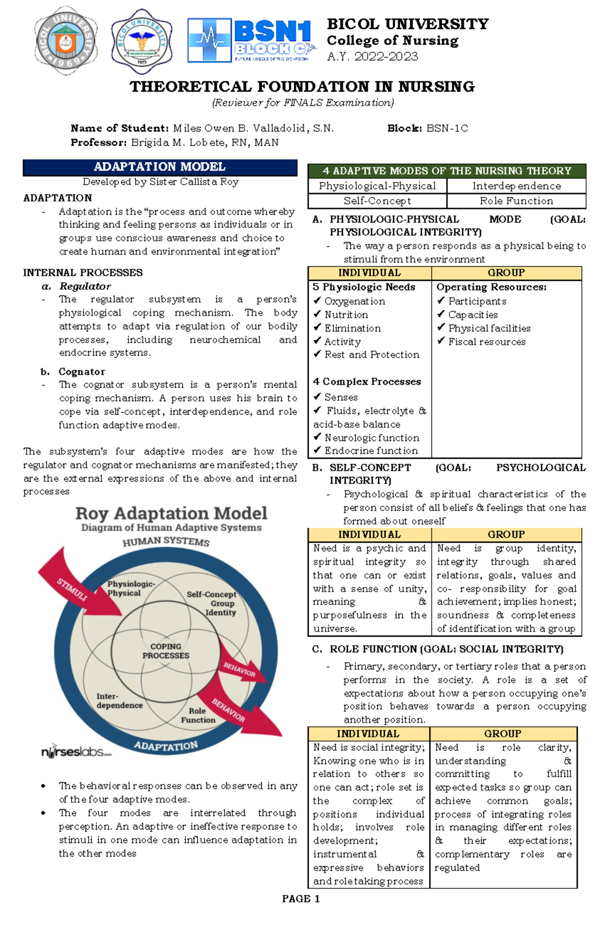 TFN Transes - Theoretical Foundation in Nursing Summary - THEORETICAL ...