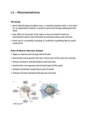 [Solved] Describe how multiple trace theory MTT and standard ...