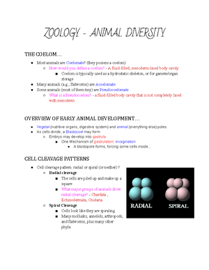 Zoology Notes part 16 - ZOOLOGY - ANIMAL DIVERSITY HIRUDINIDA ...