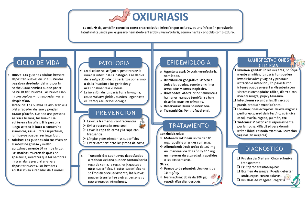 Oxiuriasis-Parasitologia - CICLO DE VIDA EPIDEMIOLOGIA DIAGNOSTICO P R ...