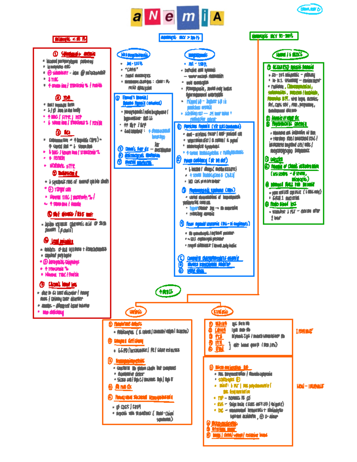 MS Chowi Anemia - doc azzirk - ⑩WH,RMTN microcytic 100f NOMOCYTiC MCX ...