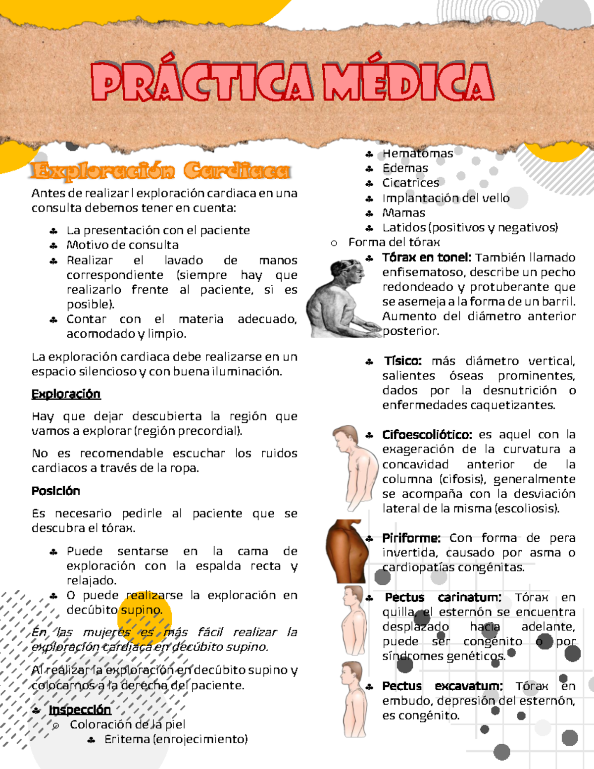 Práctica Médica - Practica medica ll. - Antes de realizar l exploración ...