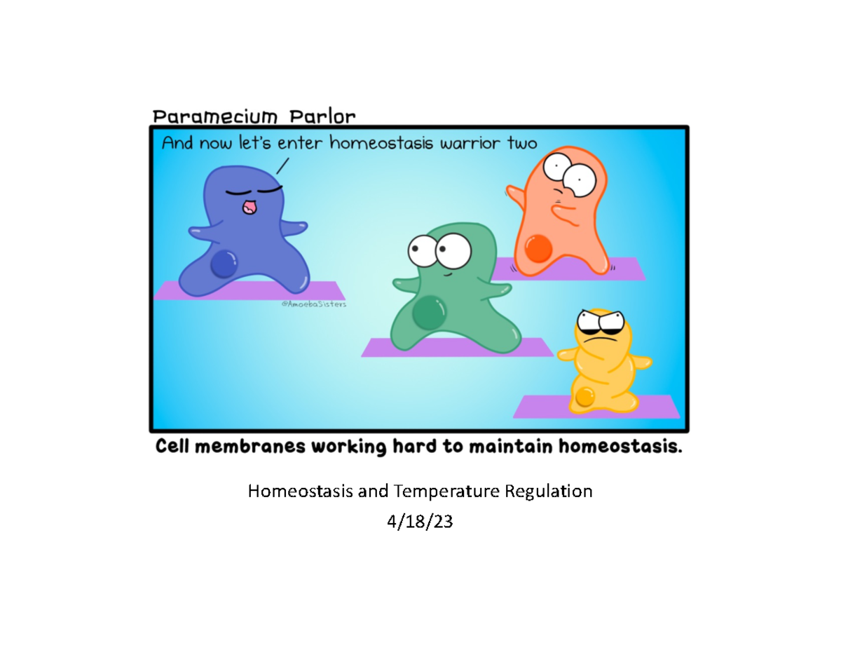 Week 11 Tues Slides - cell - Homeostasis and Temperature Regulation 4 ...