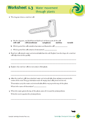 Worksheet 1.1 - Science - Copyright Cambridge University Press 2013 ...