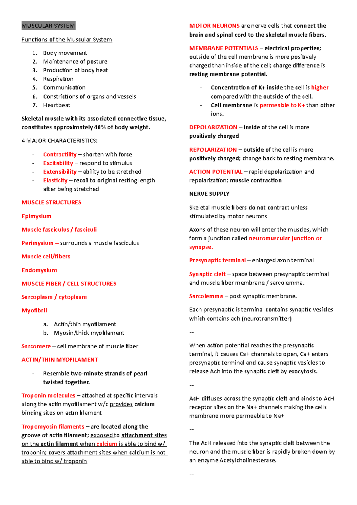 Muscular System - MUSCULAR SYSTEM Functions of the Muscular System Body ...
