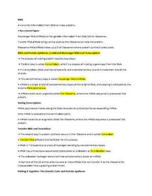 ISBB Wall Notes - ISBB - AUTOIMMUNE DISEASE AUTOANTIBODY SLE Anti- DNA ...