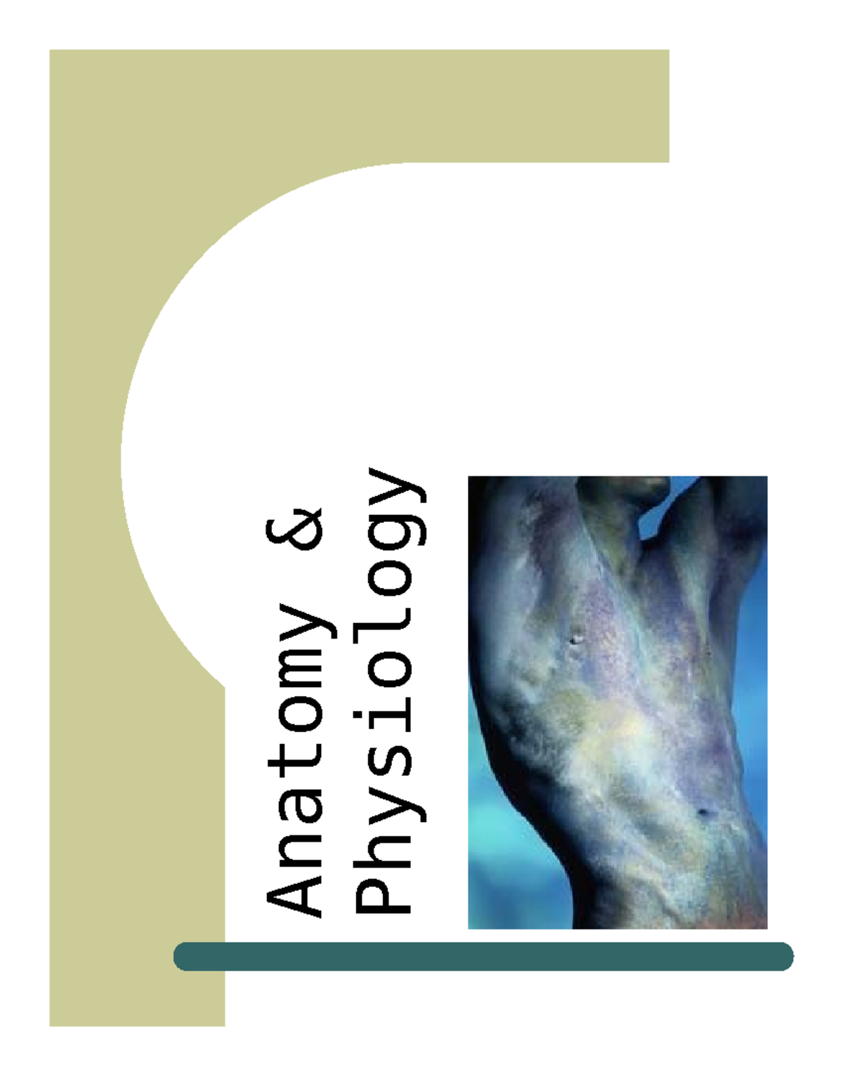 Anatomy-and-Physiology - Anatomy & Physiology Anatomy & physiology ...