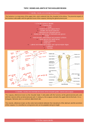 Body Cavities and Viscera Full Notes - Body Cavities and Viscera ...