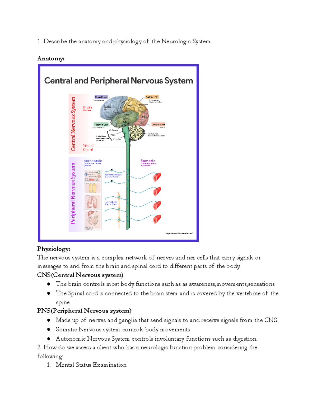 Neurologic System 47 - Anatomy: Physiology: The nervous system is a ...