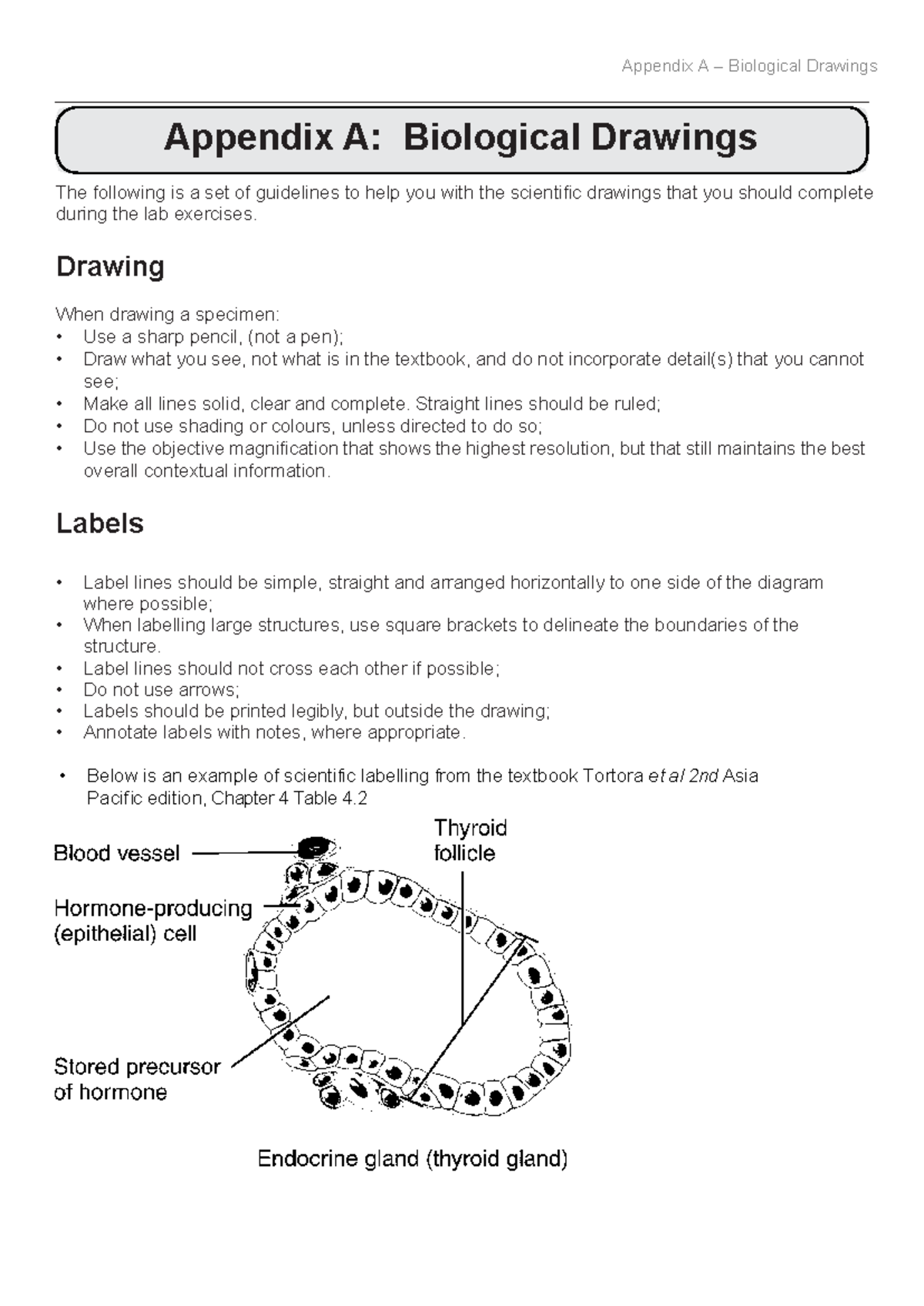 08 Appendix A 2023 - Lab - Appendix A – Biological Drawings Appendix A ...